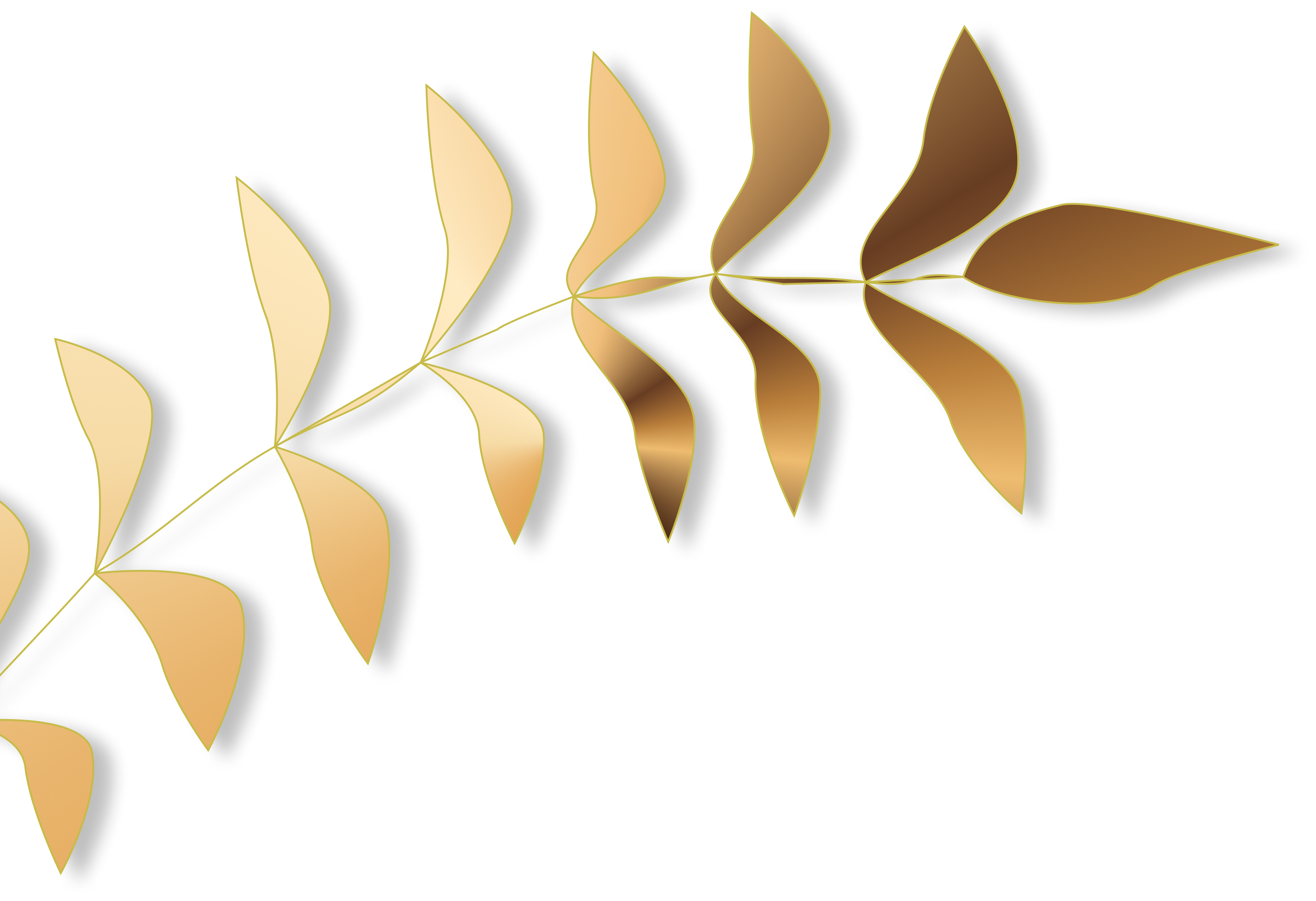 Gold Stop Shoes & Repair